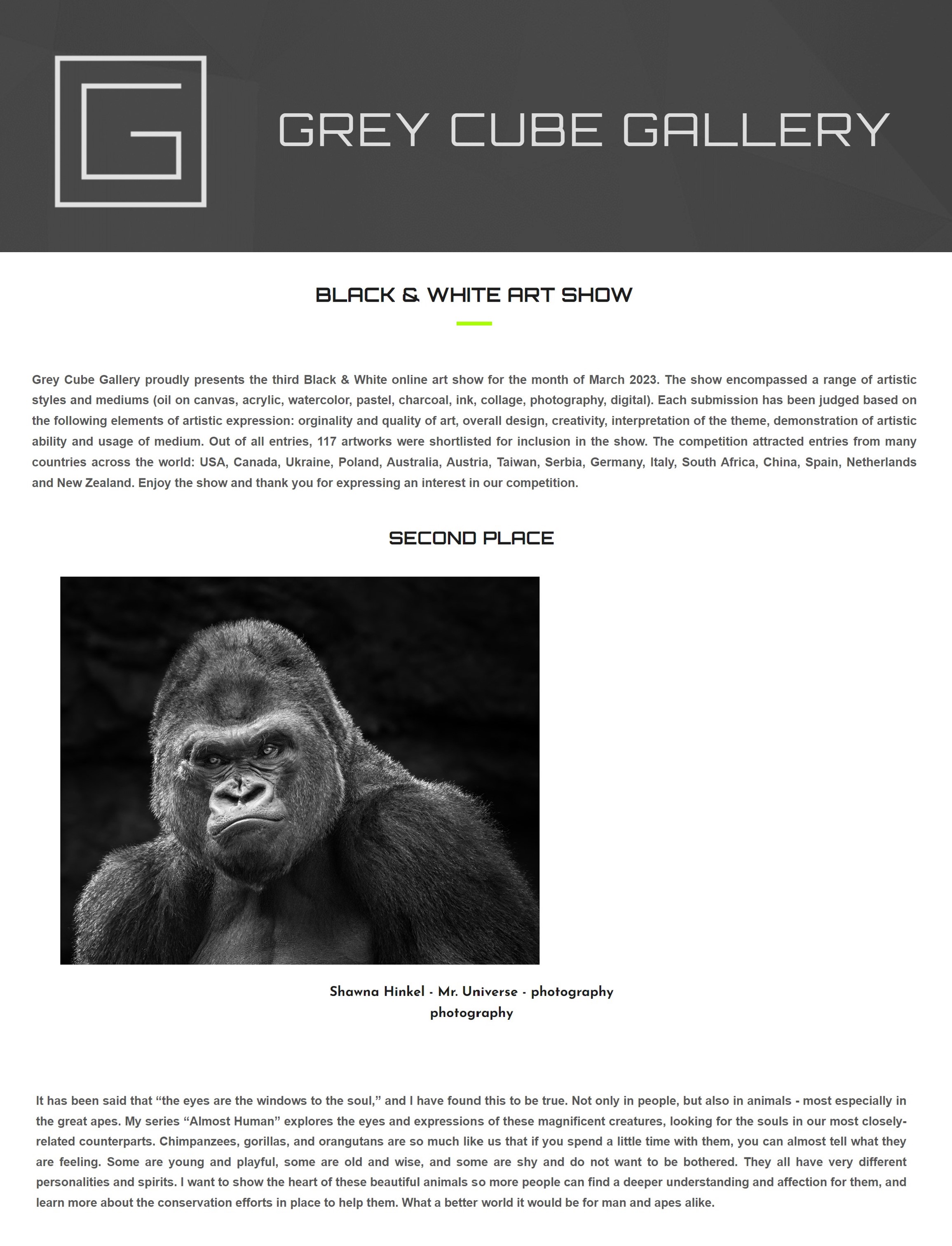 Grey Cube Gallery “Black & White” Exhibition | Wanderlust Fine Artistry