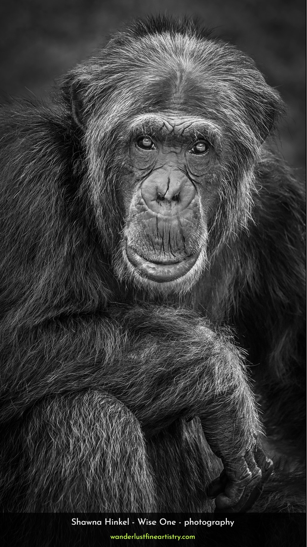 Grey Cube Gallery “Faces” Exhibition 2024 | Wanderlust Fine Artistry