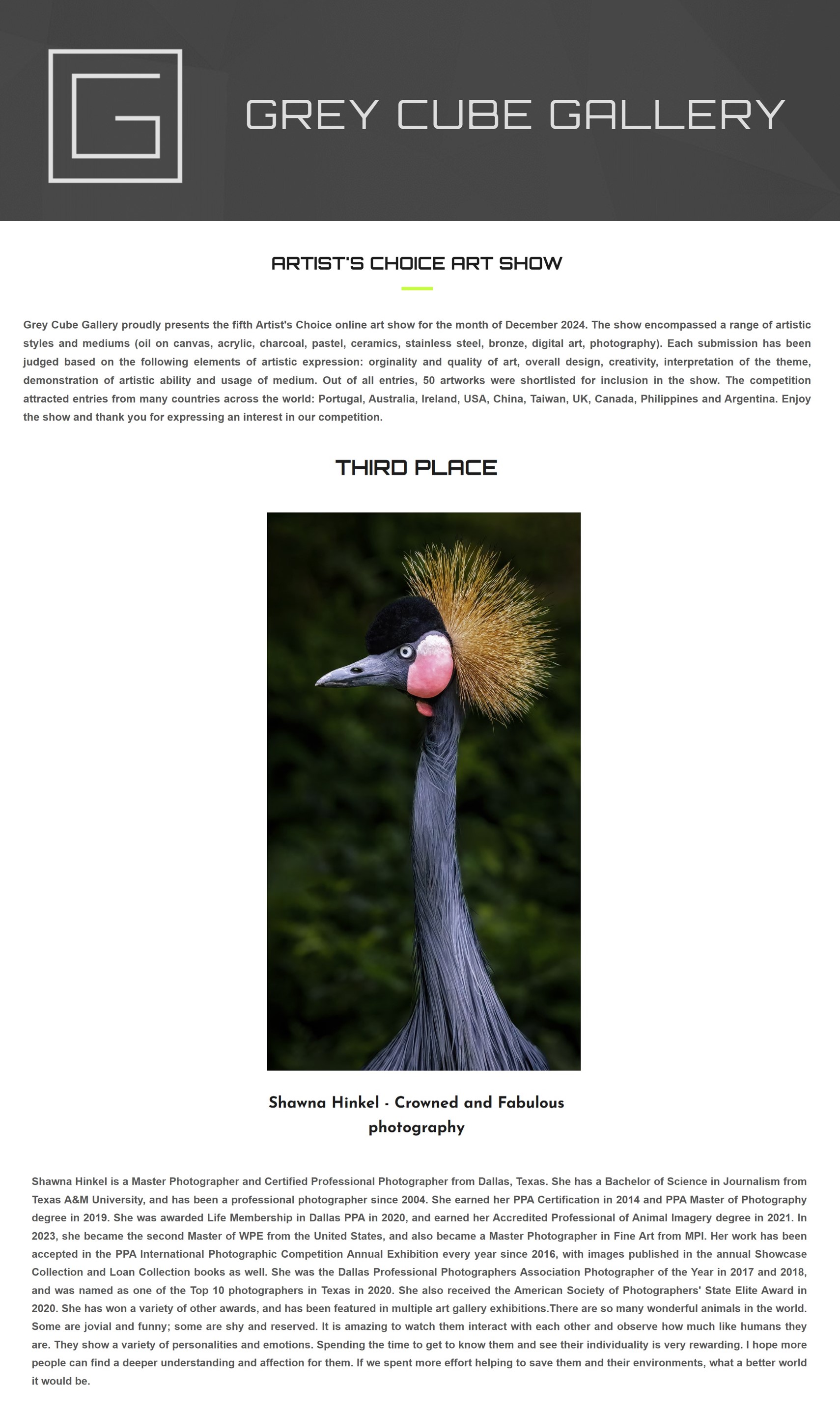 Grey Cube Gallery “Artist’s Choice” Exhibition 2024 | Wanderlust Fine ...